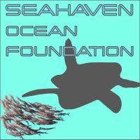 Seahaven Ocean Foundation
